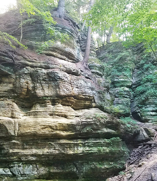 amazing natural wonders illinois ftr