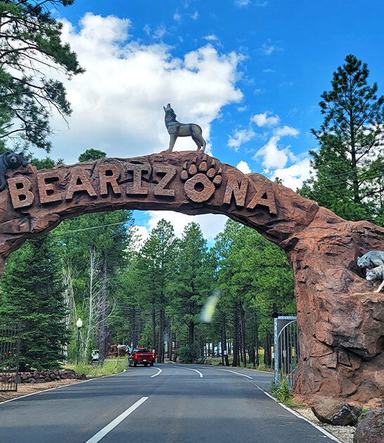 animal road trip arizona ftr