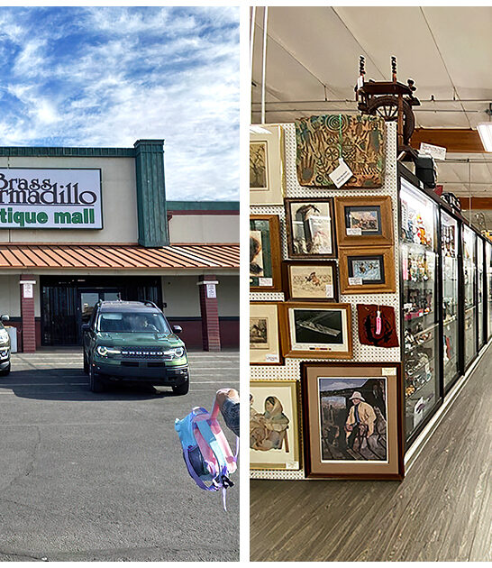 antique store arizona ftr