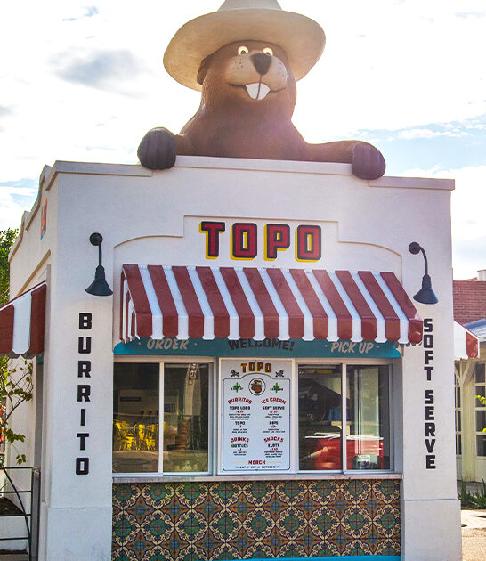 arizona frozen treats ftr