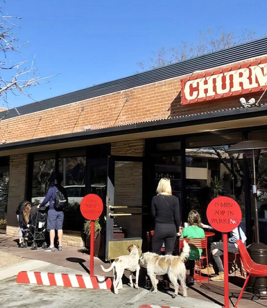 arizona ice cream shops ftr