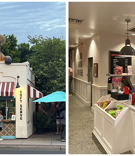 arizona ice cream spots ftr