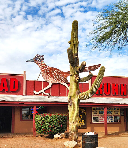 arizona restaurant bull riding ftr