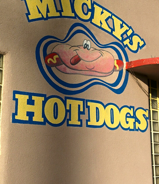 arizona sonoran dogs ftr