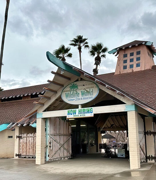 arizona zoo exotic animals ftr