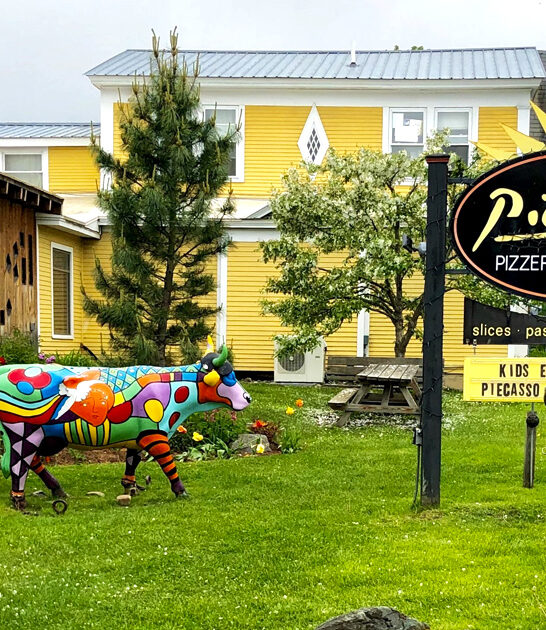 art inspired pizza vermont FTR