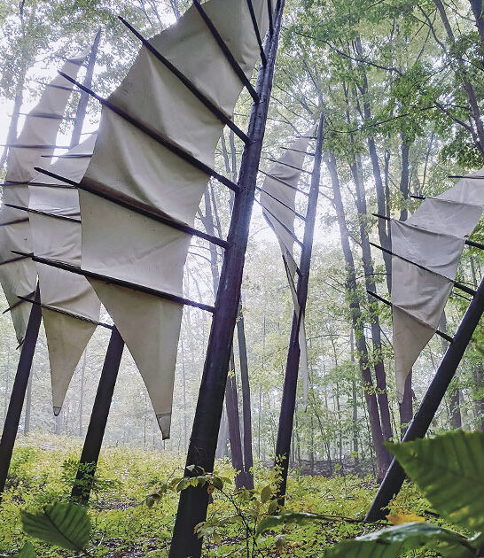 artistic michigan sculpture gardens ftr