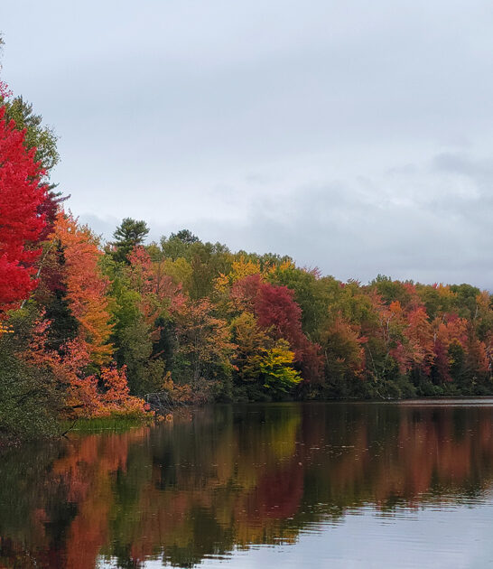 backcountry road trip vermont FTR