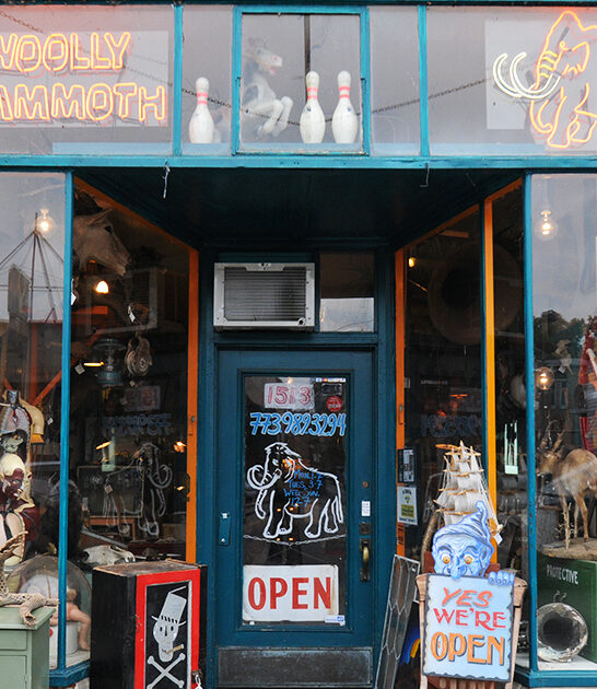 bizarre antique shop illinois ftr