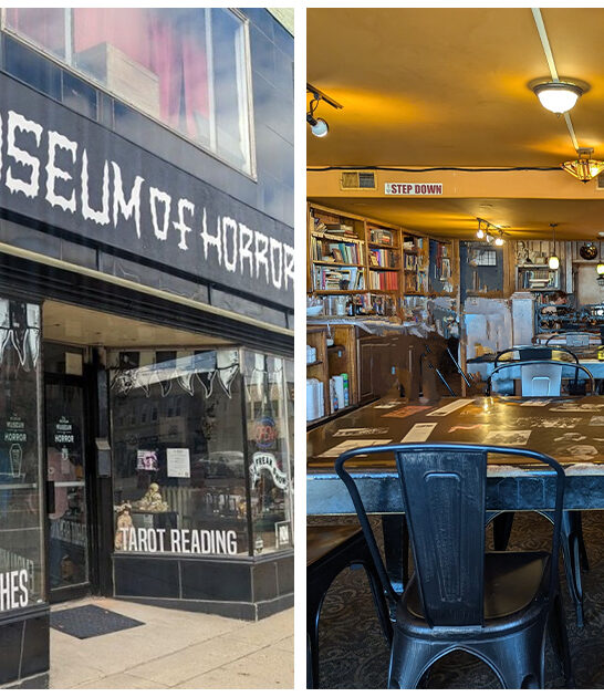 bizarre attractions michigan ftr