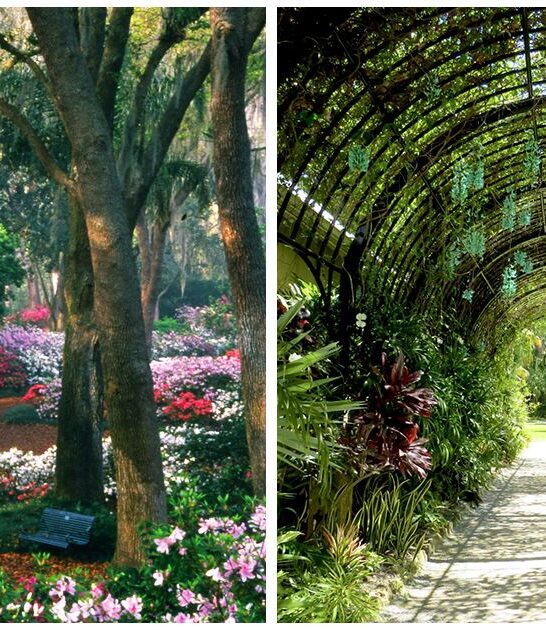 breathtaking gardens florida ftr