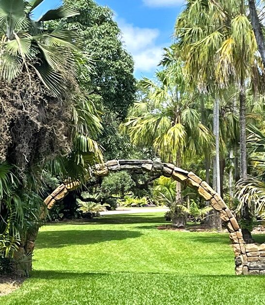 breathtaking rainforest walks florida ftr