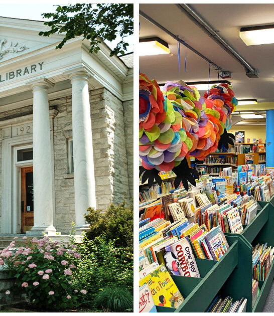 charming library vermont FTR