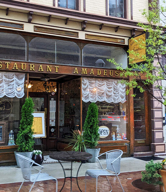 charming polish restaurant michigan ftr