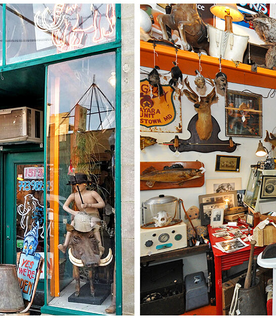 collectible stores illinois ftr