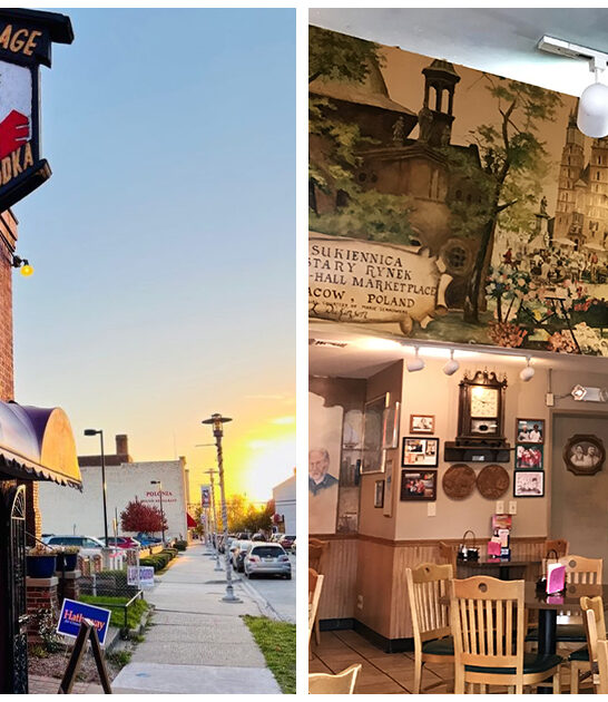 comforting michigan european food ftr