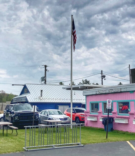 coney dogs michigan diner ftr