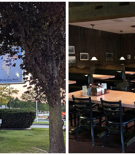 coney dogs michigan restaurant ftr