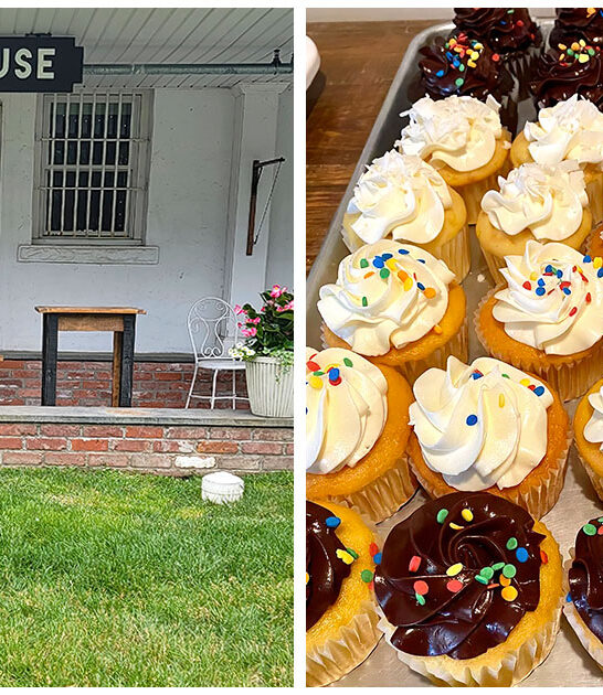 cupcake lovers cafes illinois ftr