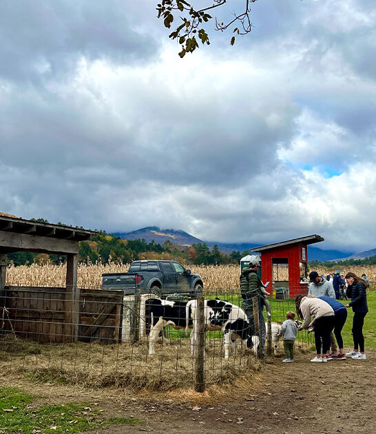 day trip destinations vermont FTR