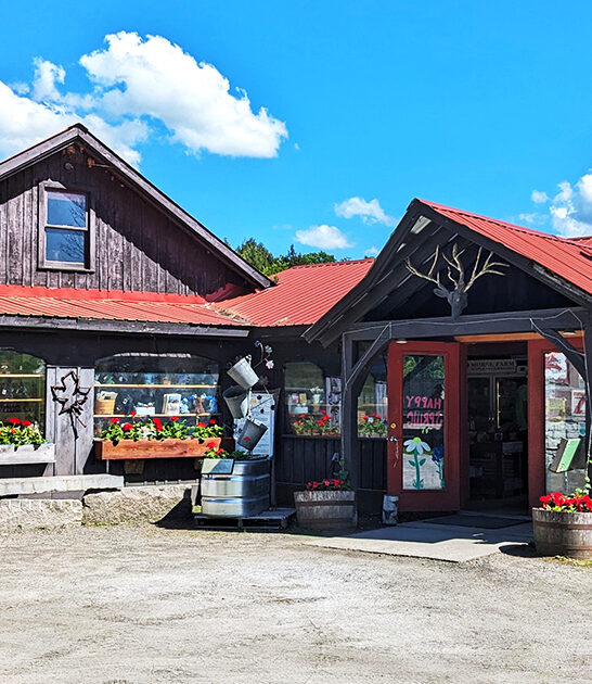 delicious vermont road trip FTR