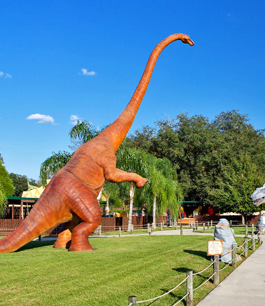dinosaur experiences florida ftr