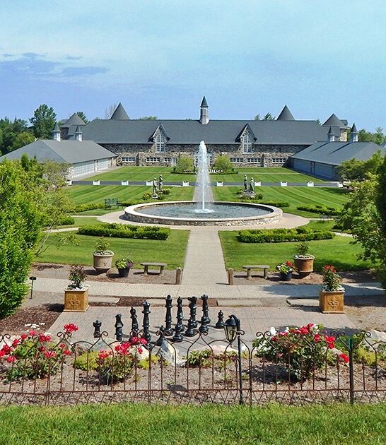 disney inspired michigan spots ftr