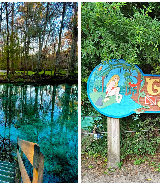 dreamy florida springs paradise ftr