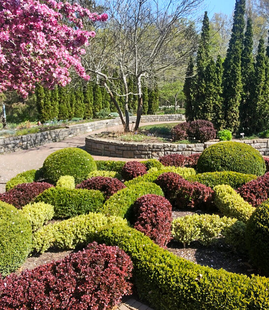 dreamy gardens ohio ftr