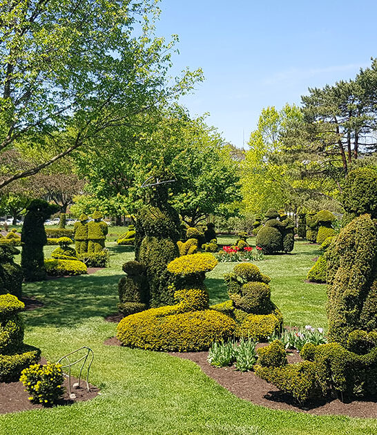 dreamy ohio gardens ftr