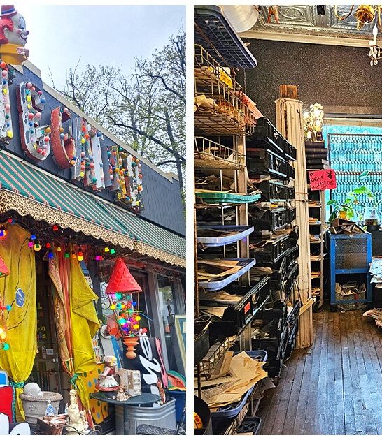 eccentric shops minnesota FTR