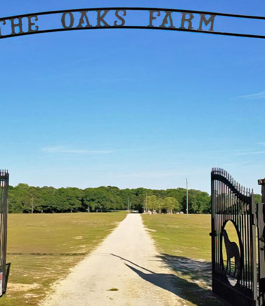 enchanting animal preserves florida ftr