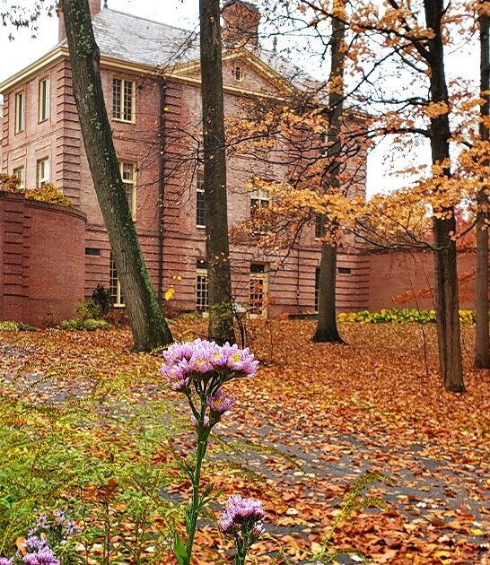 enchanting botanical garden ohio ftr