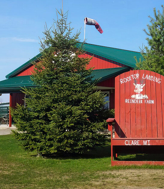 enchanting reindeer farm michigan ftr