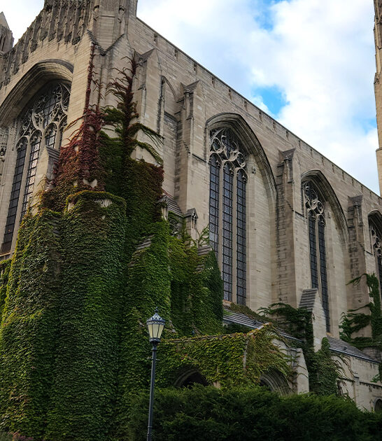 enchanting spots illinois ftr