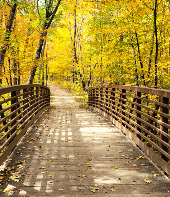 enchanting state park minnesota FTR