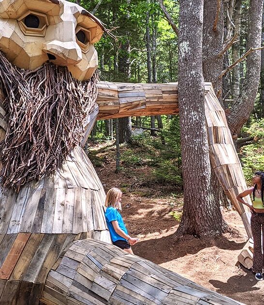 enchanting whimsical gardens maine ftr