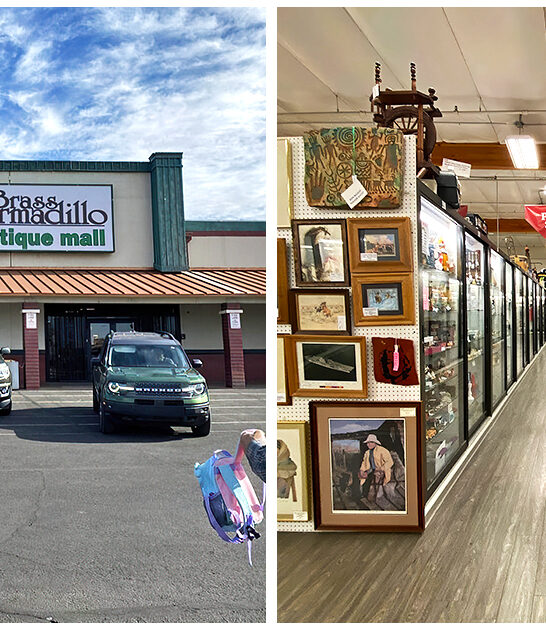 enormous antique mall arizona ftr