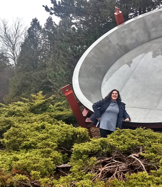 enormous roadside attraction michigan ftr