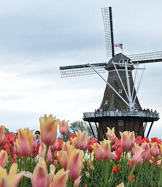 european inspired destinations michigan ftr