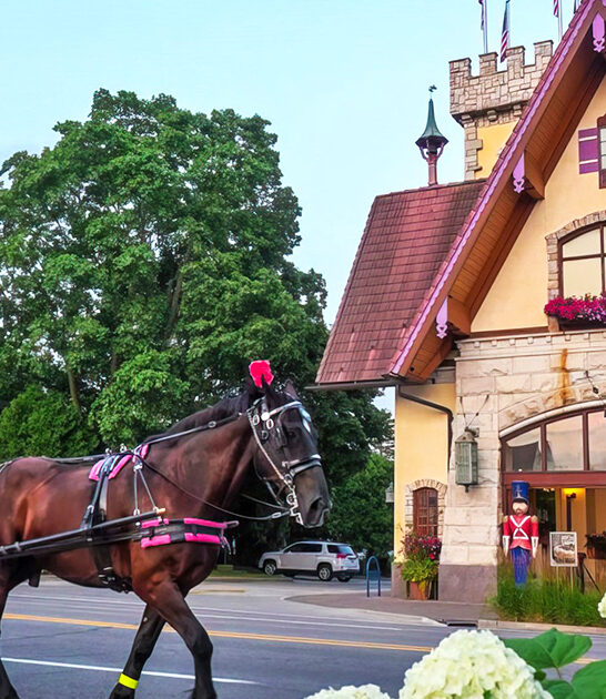 european inspired michigan spots ftr