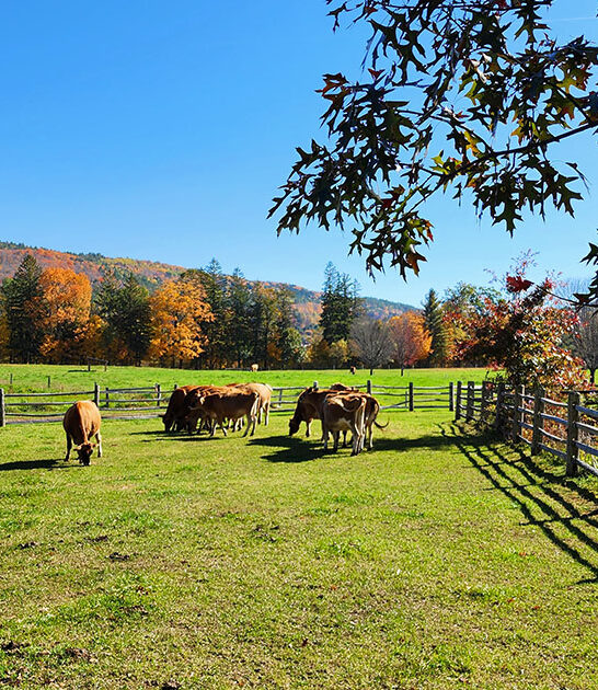 family road trip vermont FTR