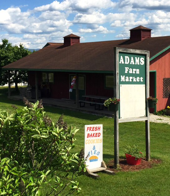 farm market pies vermont FTR