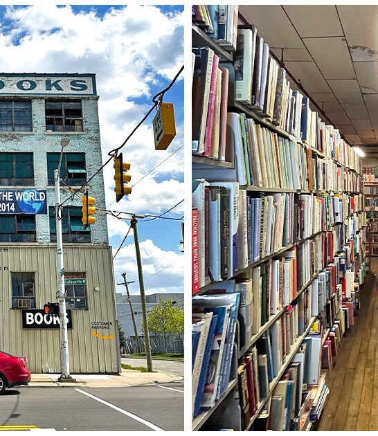 fascinating bookstores michigan ftr