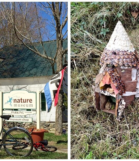 fascinating nature museum vermont ftr
