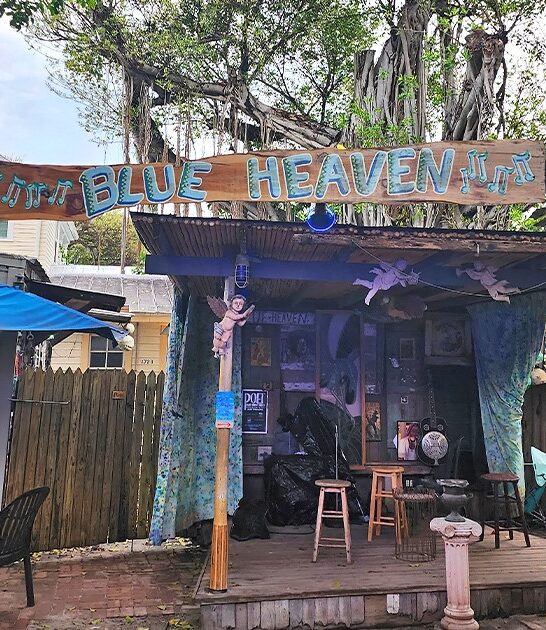 finger licking florida trip FTR