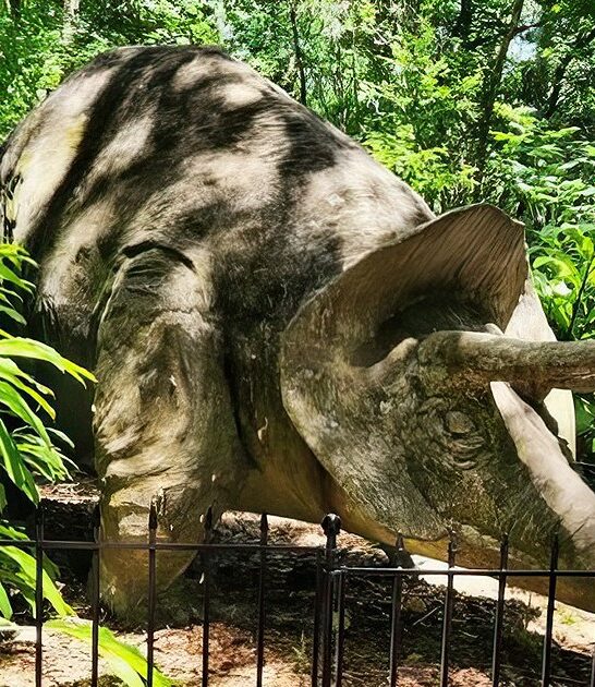 florida breathtaking ruins ftr