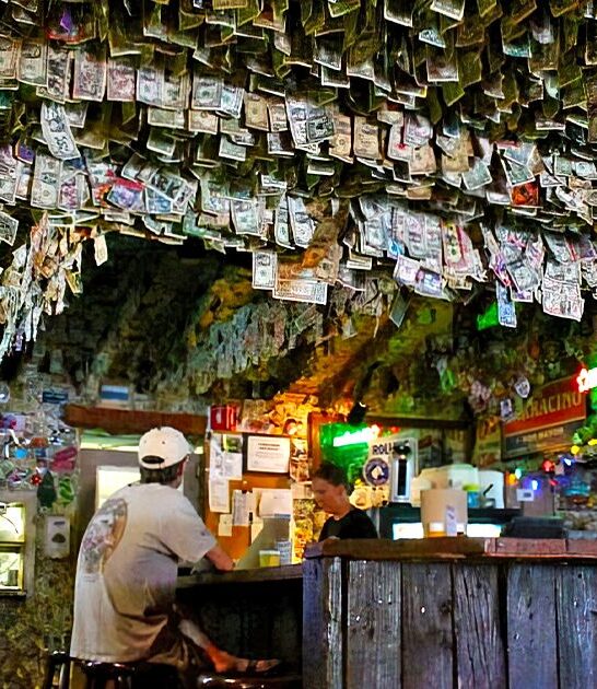 florida weird dive bars ftr
