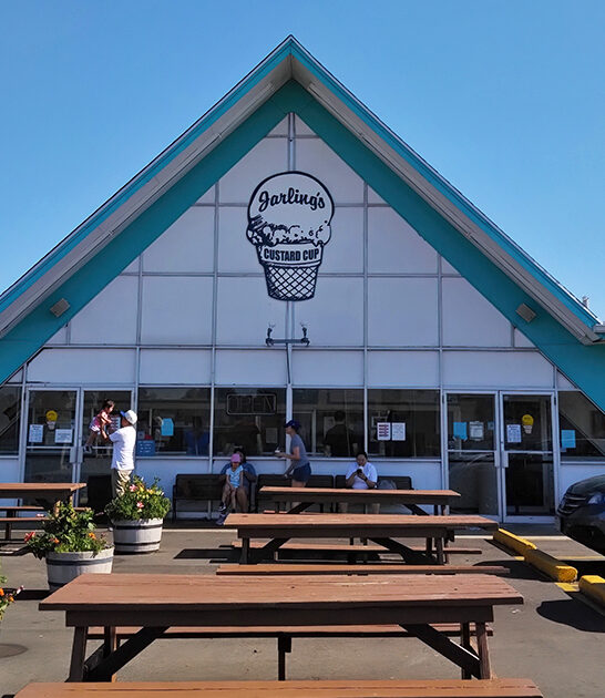 frozen custard shop illinois ftr