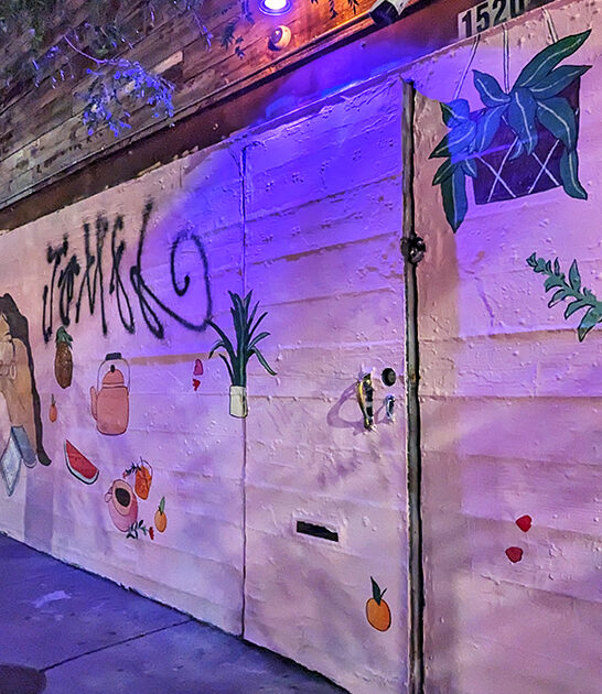 funky hidden bars illinois ftr